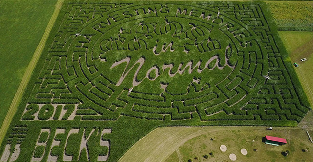 Get Lost…in Our Maze » Rader Family Farms