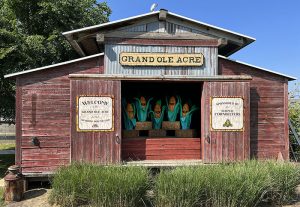 Activities » Rader Family Farms