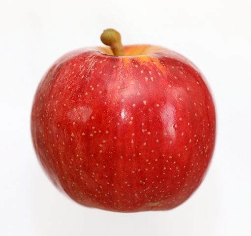 Adam’s Apple Orchard » Rader Family Farms