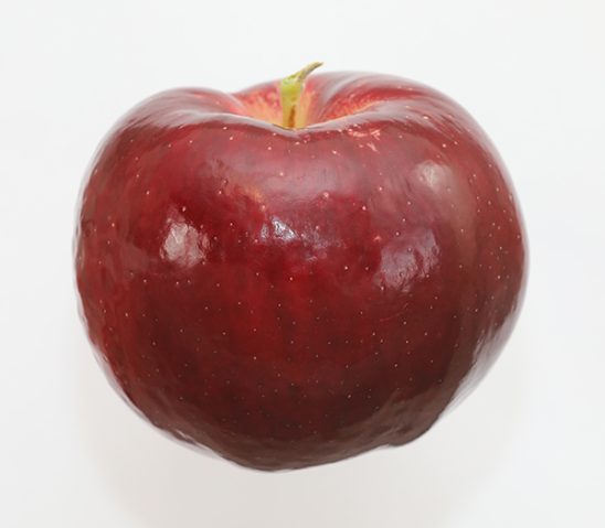 Adam’s Apple Orchard » Rader Family Farms